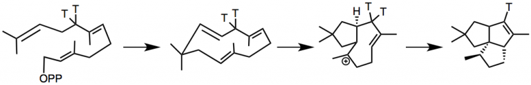 并环萜烯 Pentalenene | 化学空间 Chem-Station