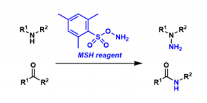 MSH试剂 MSH reagent | 化学空间 Chem-Station