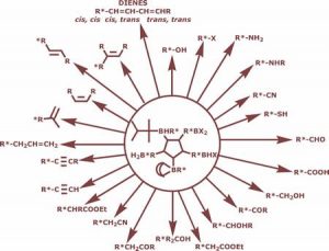 Herbert C. Brown | 化学空间 Chem-Station