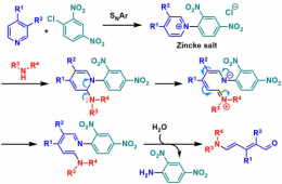 Zincke Aldehyde | 化学空间 Chem-Station