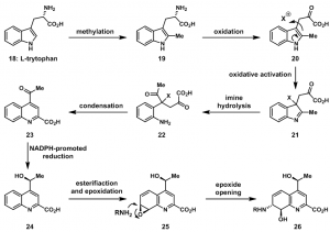 Thiostrepton（一）背景介绍 | 化学空间 Chem-Station