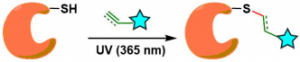 半胱酰胺-选择性蛋白质修饰 Cys-Selective Protein Modification | 化学空间 Chem-Station