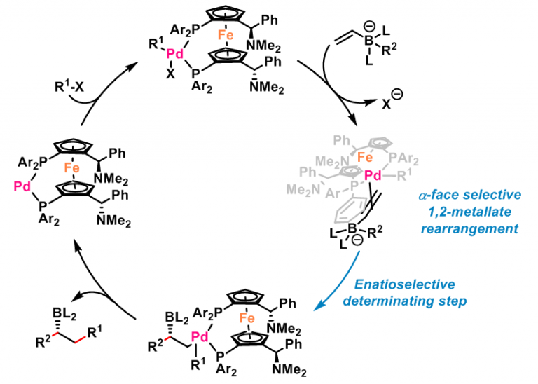 Conjunctive Cross-Coupling | 化学空间 Chem-Station