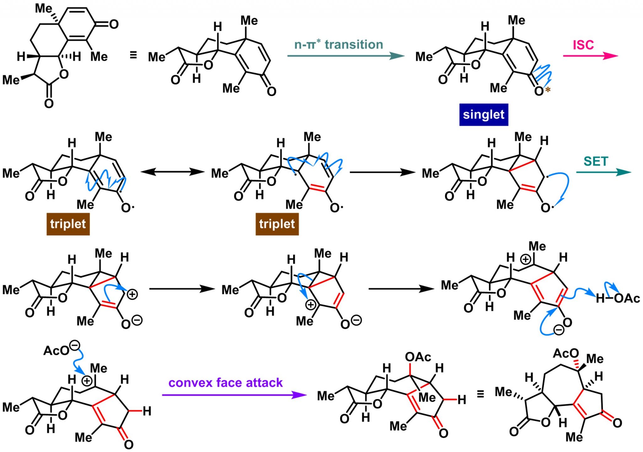 山道年（santonin）的光照重排 | 化学空间 Chem-Station