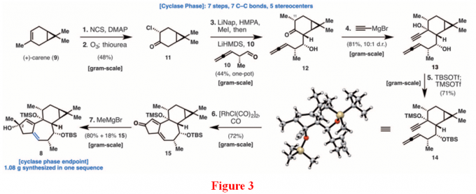 高效全合成Ingenol | 化学空间 Chem-Station