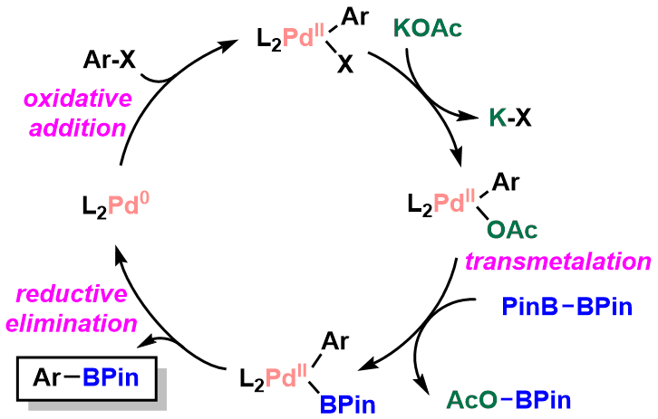 宫浦-石山硼酸化 Miyaura-Ishiyama Borylation | 化学空间 Chem-Station