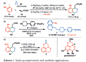 Catellani Reaction的发展与改进 | 化学空间 Chem-Station