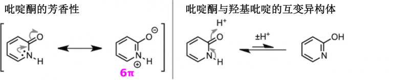 Dimroth重排 (ANRORC 型) Dimroth Rearrangement via An ANRORC Mechanism | 化学 ...