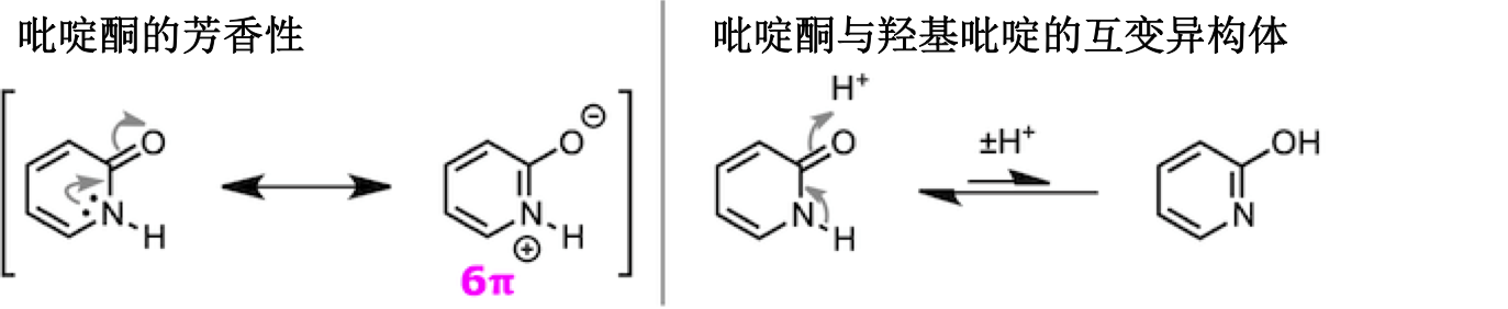 Dimroth重排 (ANRORC 型) Dimroth Rearrangement via An ANRORC Mechanism | 化学 ...