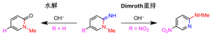 Dimroth重排 (ANRORC 型) Dimroth Rearrangement via An ANRORC Mechanism | 化学 ...