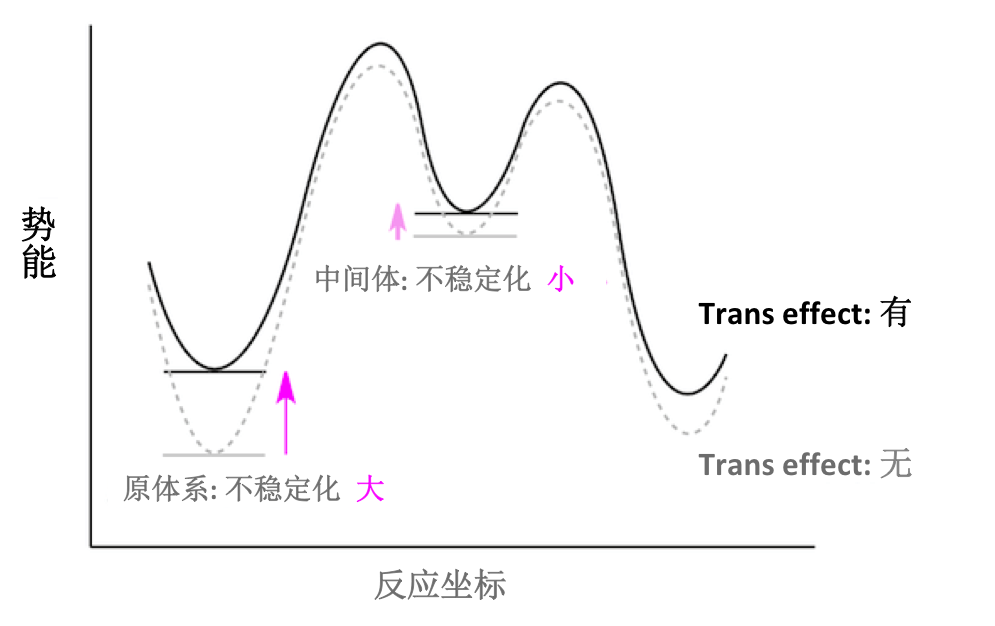 Trans Effect | 化学空间 Chem-Station