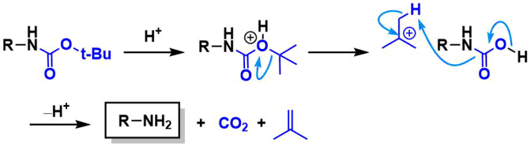 叔丁氧基羰基保护基 Boc Protecting Group | 化学空间 Chem-Station