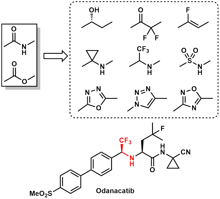 生物电子等排体 Bioisostere | 化学空间 Chem-Station