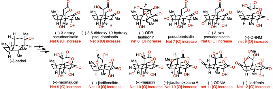 Thomas J. Maimone | 化学空间 Chem-Station