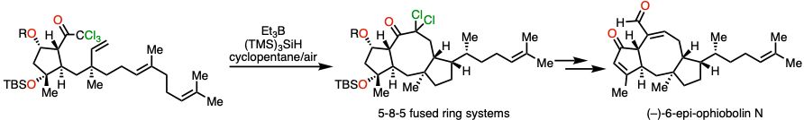 Thomas J. Maimone | 化学空间 Chem-Station
