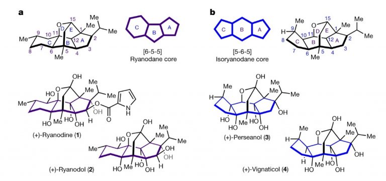 世界著名化学家——Sarah E. Reisman | 化学空间 Chem-Station