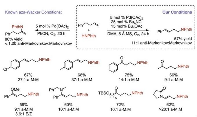 Kami L. Hull | 化学空间 Chem-Station