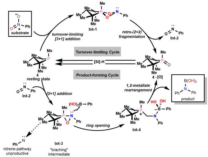 麻省理工学院Alexander T. Radosevich研究员课题组JACS：PIII /PV=O催化硝基芳烃与硼酸的分子间还原C-N交叉偶 ...