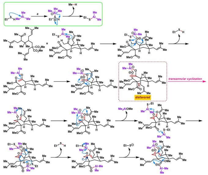 Fukuyama-Yokoshima group meeting problem 12 | 化学空间 Chem-Station