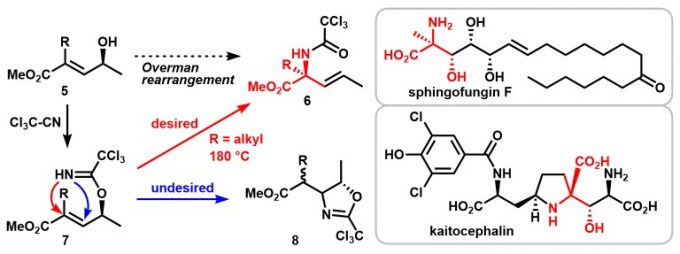 千田 憲孝 Noritaka Chida | 化学空间 Chem-Station