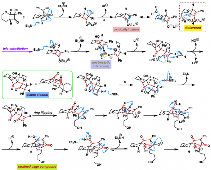 Fukuyama-Yokoshima group meeting problem 14 | 化学空间 Chem-Station