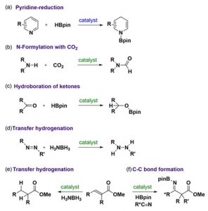 金城 玲 Rei Kinjo | 化学空间 Chem-Station