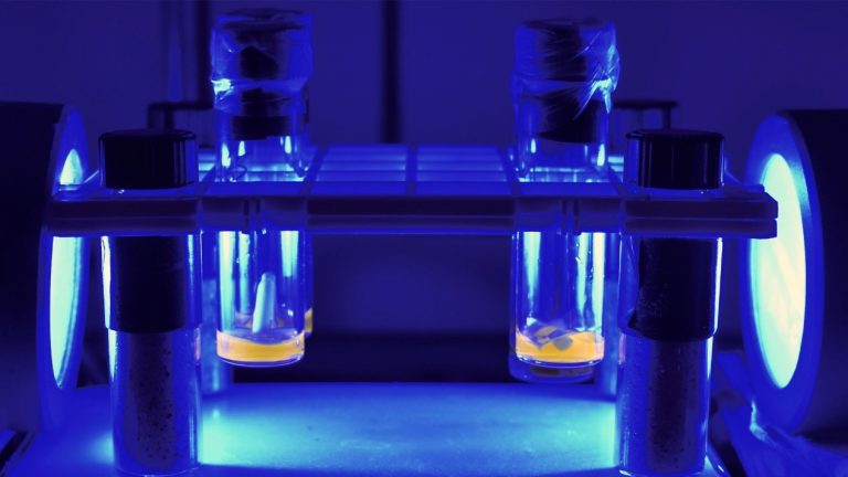 Robert R. Knowles | 化学空间 Chem-Station