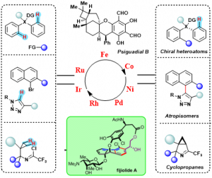 Nicolai Cramer | 化学空间 Chem-Station