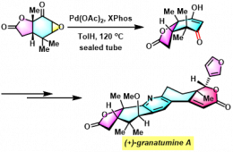 Noyori 重排 | 化学空间 Chem-Station
