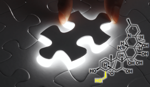 Gilbert Stork | 化学空间 Chem-Station