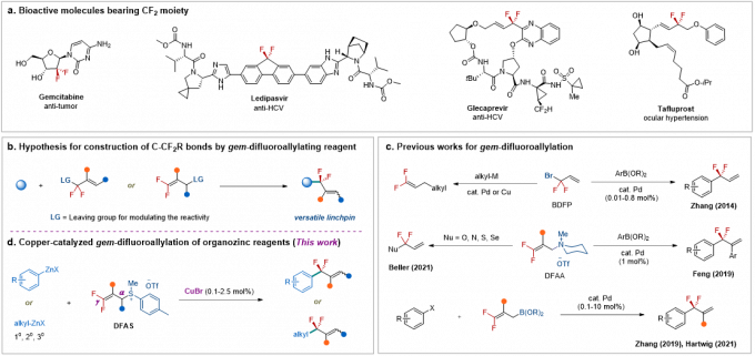 Angew：3,3-二氟烯丙基锍盐(DFAS):一种新型实用、稳定但又高活性的偕二氟烯丙基化试剂 | 化学空间 Chem-Station