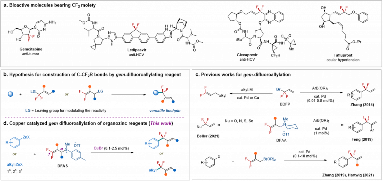 Angew：3,3-二氟烯丙基锍盐(DFAS):一种新型实用、稳定但又高活性的偕二氟烯丙基化试剂 | 化学空间 Chem-Station