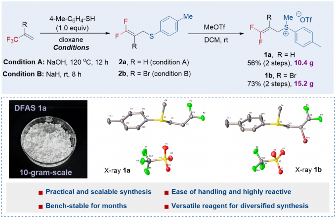 Angew：3,3-二氟烯丙基锍盐(DFAS):一种新型实用、稳定但又高活性的偕二氟烯丙基化试剂 | 化学空间 Chem-Station