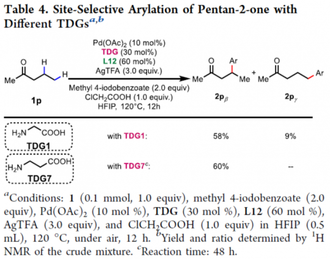 ACS Catal.：钯催化的γ-C(sp3)-H键(杂)芳基化反应方法学研究 | 化学空间 Chem-Station