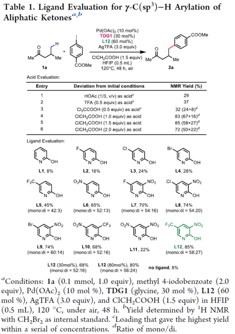 ACS Catal.：钯催化的γ-C(sp3)-H键(杂)芳基化反应方法学研究 | 化学空间 Chem-Station