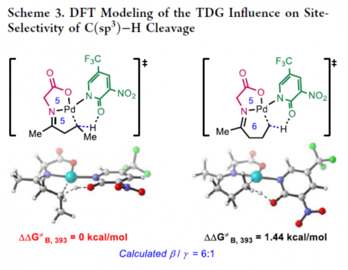 ACS Catal.：钯催化的γ-C(sp3)-H键(杂)芳基化反应方法学研究 | 化学空间 Chem-Station