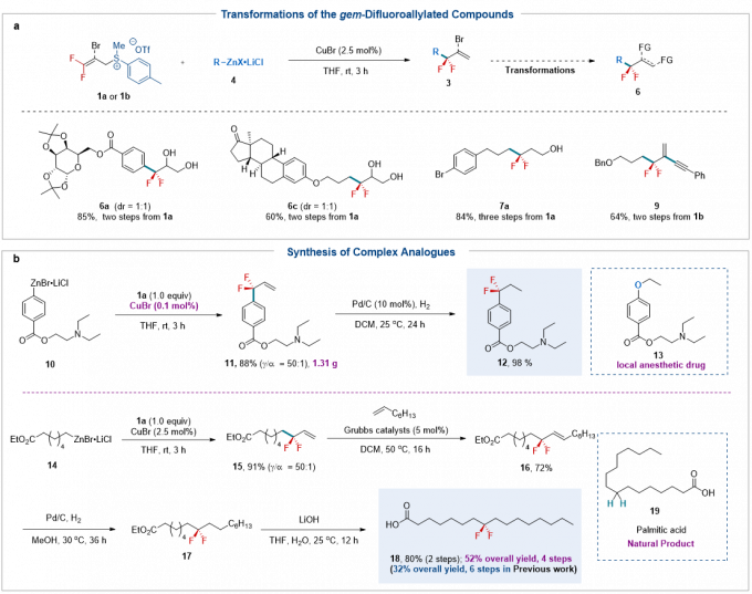 Angew：3,3-二氟烯丙基锍盐(DFAS):一种新型实用、稳定但又高活性的偕二氟烯丙基化试剂 | 化学空间 Chem-Station