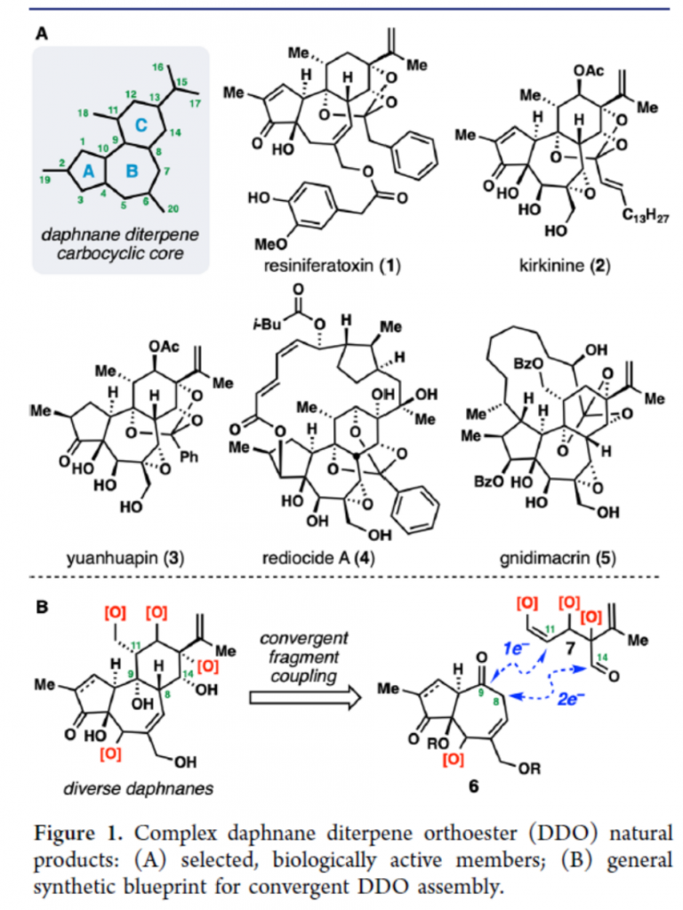 JACS：Resiniferatoxin的全合成研究 | 化学空间 Chem-Station