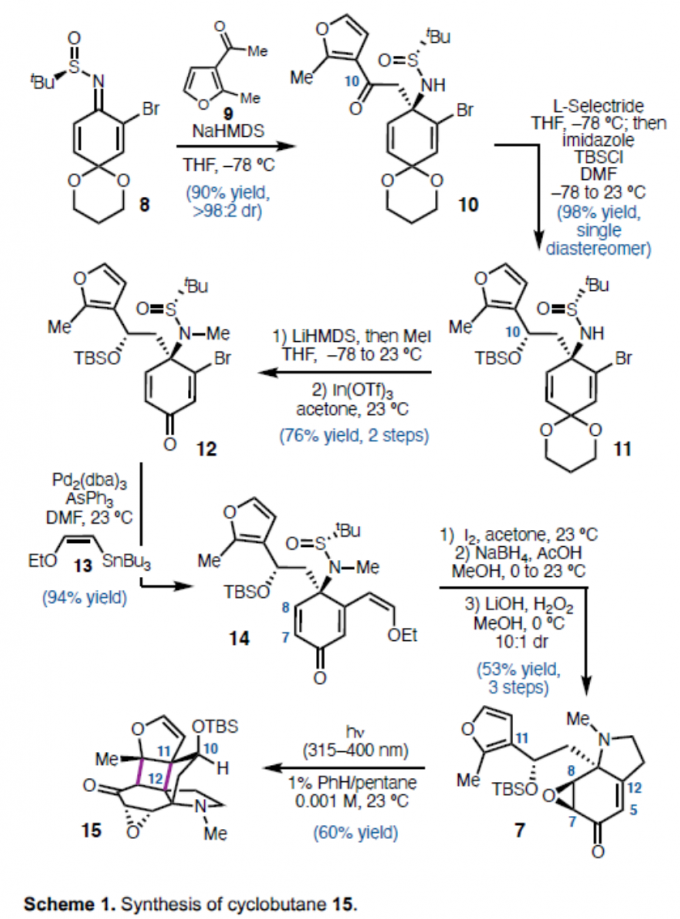 Angew：(-)-C10-Hydroxyacutuminine的对映选择性全合成研究 | 化学空间 Chem-Station