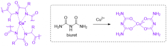 蛋白质定量——Biuret Test | 化学空间 Chem-Station