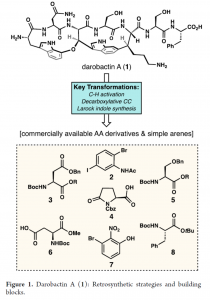 JACS：Darobactin A的阻转选择性全合成研究 | 化学空间 Chem-Station