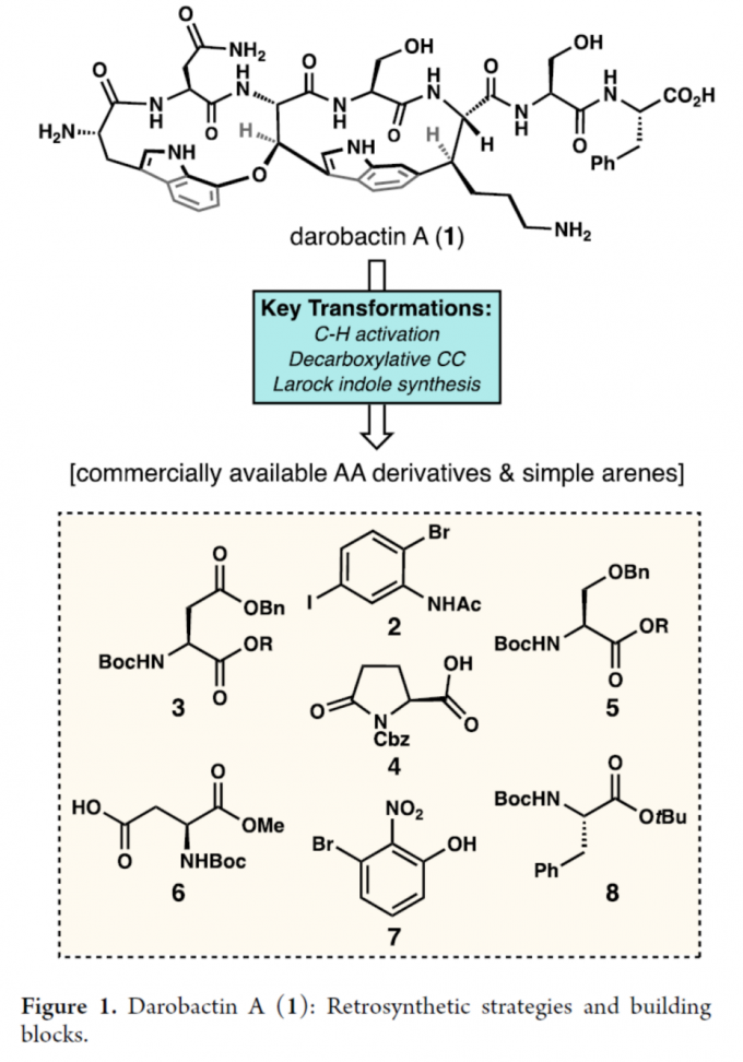 JACS：Darobactin A的阻转选择性全合成研究 | 化学空间 Chem-Station