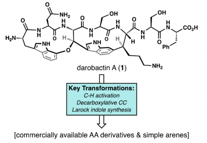 JACS：Darobactin A的阻转选择性全合成研究 | 化学空间 Chem-Station