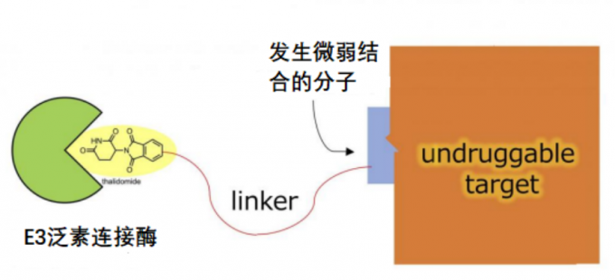 刺向Undruggable Target的一把利剑：蛋白降解靶向嵌合体PROTAC | 化学空间 Chem-Station