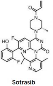 刺向Undruggable Target的一把利剑：蛋白降解靶向嵌合体PROTAC | 化学空间 Chem-Station