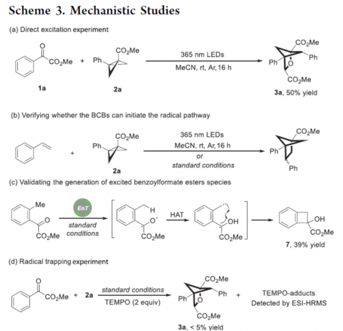 JACS：多取代2-oxa-BCH分子的合成策略研究 | 化学空间 Chem-Station