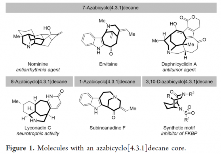 ACS Catal.： N-杂环分子的立体发散性合成策略研究 | 化学空间 Chem-Station