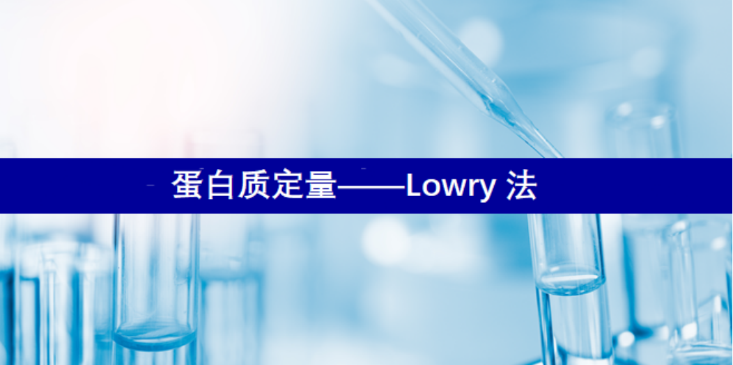 蛋白质定量——Lowry 法 | 化学空间 Chem-Station