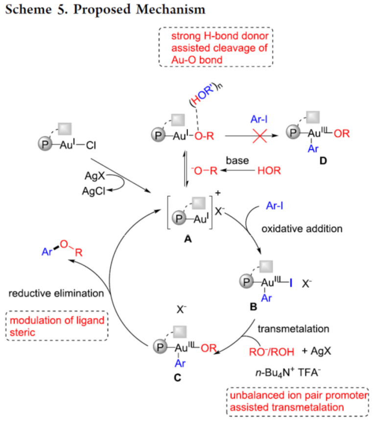 ACS Catal. ：金催化的C-O交叉偶联反应方法学研究 | 化学空间 Chem-Station