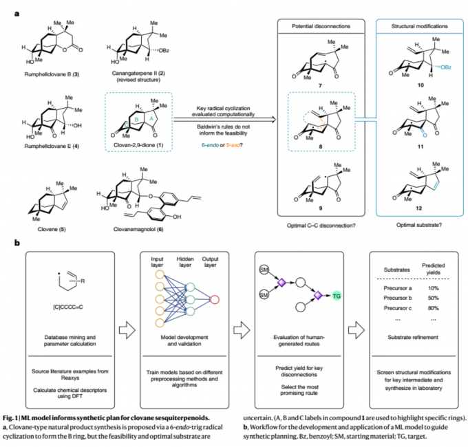 Nature synthesis：神经网络NNET模型指导的Clovane倍半萜全合成 | 化学空间 Chem-Station